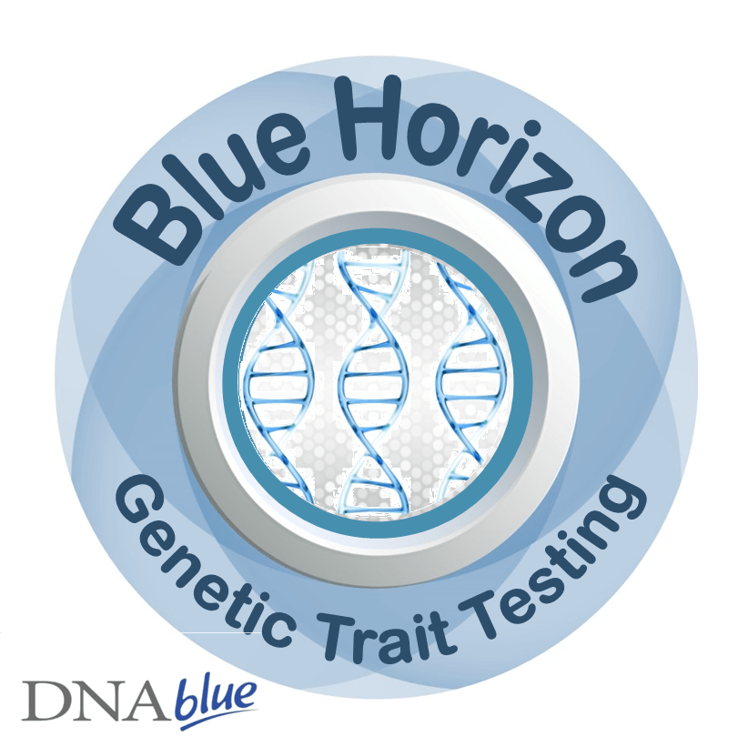 Add DNAblue Personal Genetic Traits – Blue Horizon Blood Tests