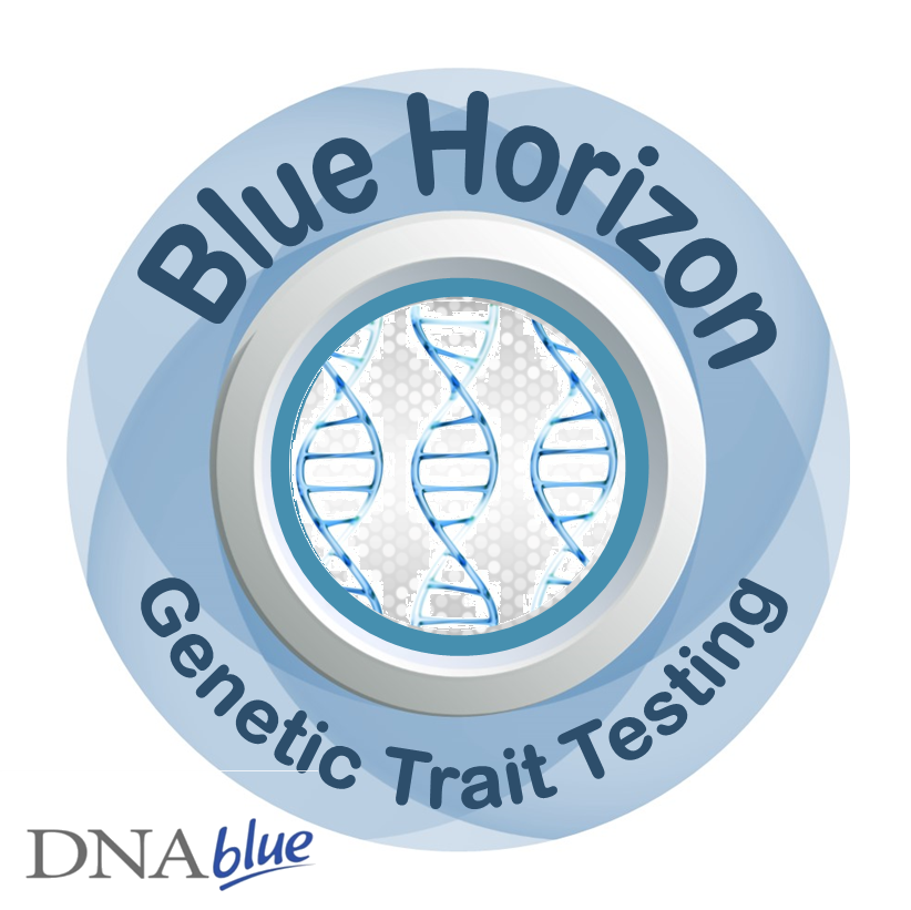 DNAblue Wellwoman Genetic Traits – Blue Horizon Blood Tests